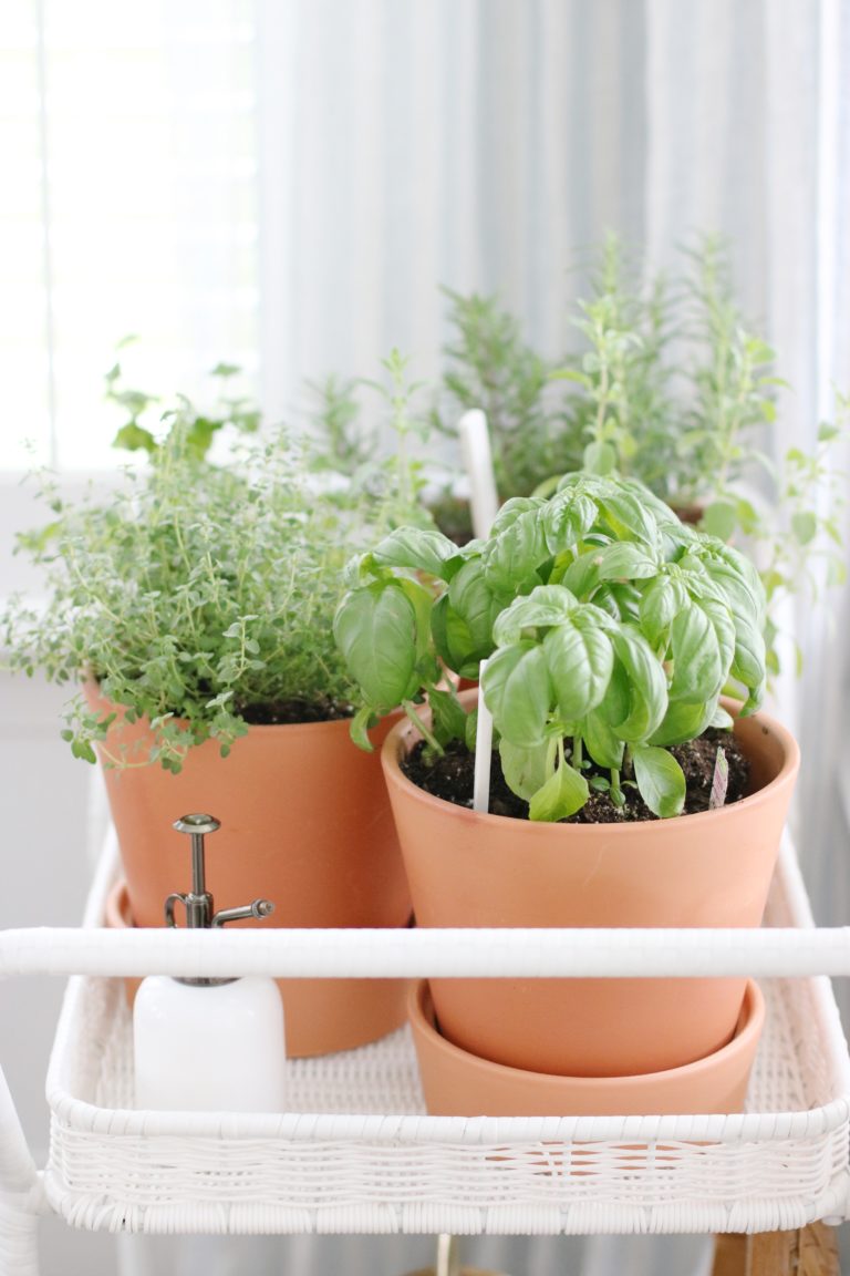 Indoor Herb Garden Cart - Lindsey Regan Thorne